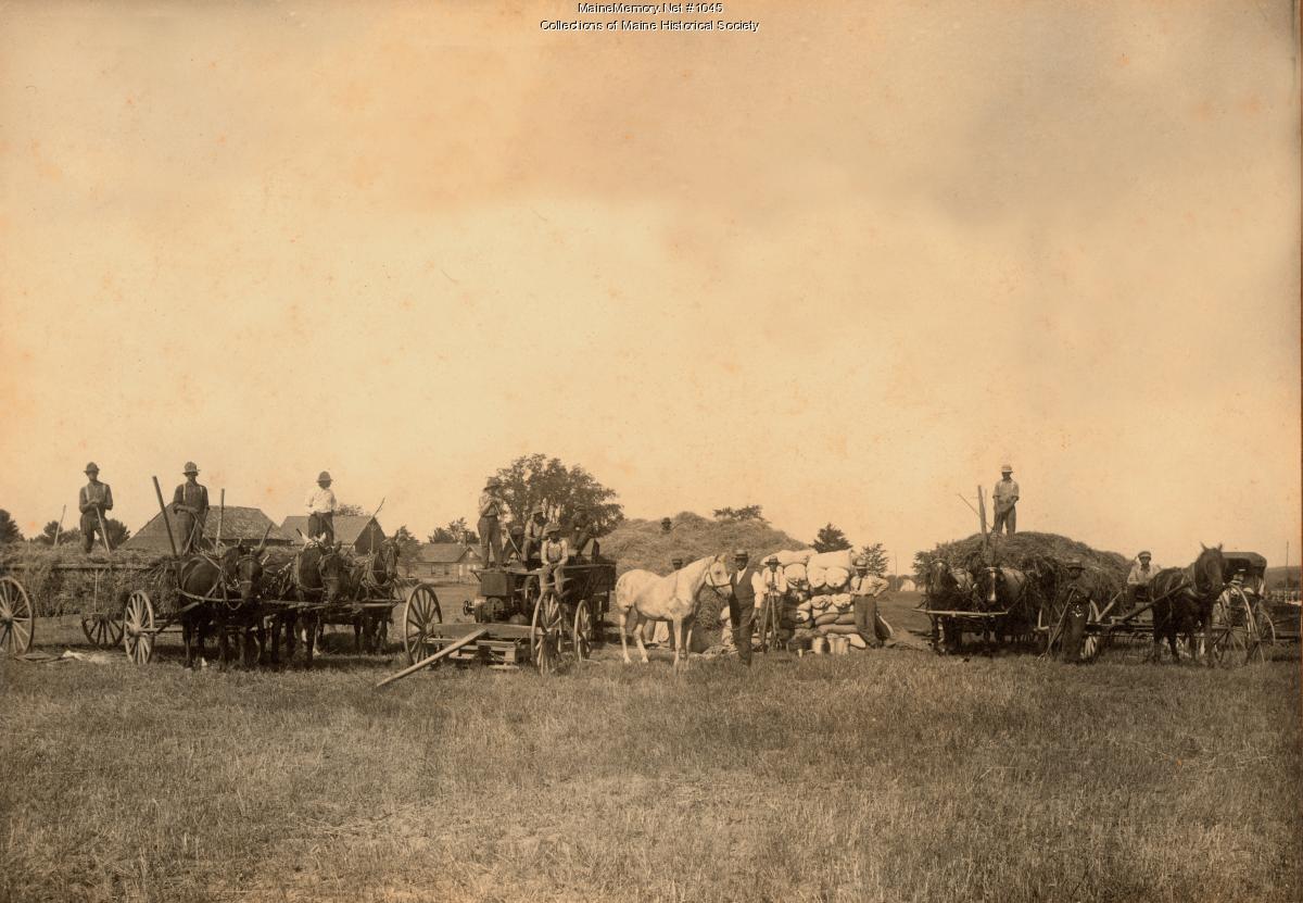 Threshing crew, Jewett Farm, 1913 - Maine Memory Network