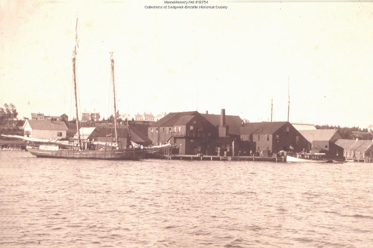 Fish Cannery, Brooklin, ca. 1900 - Maine Memory Network