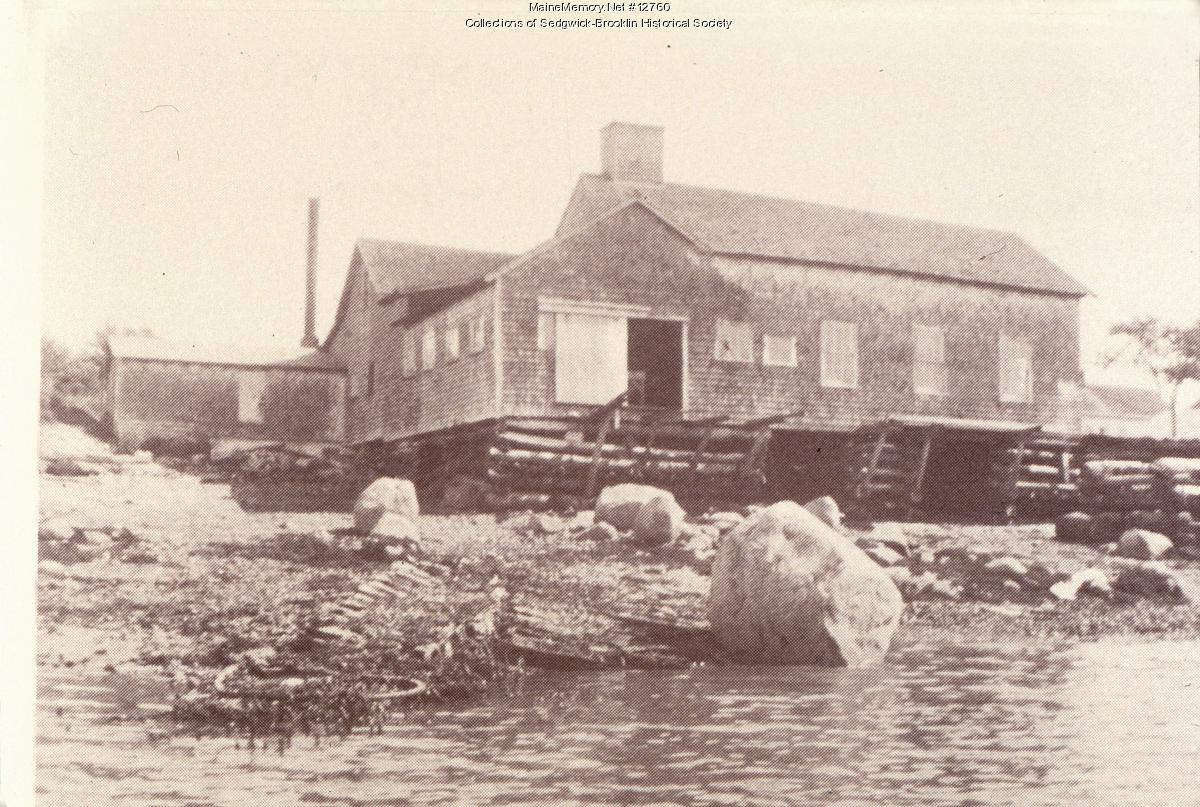 Blueberry Cannery, Brooklin, ca. 1933 - Maine Memory Network