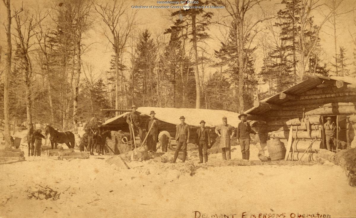 Delmont Emerson Logging Camp, Island Falls, ca. 1910 - Maine Memory Network