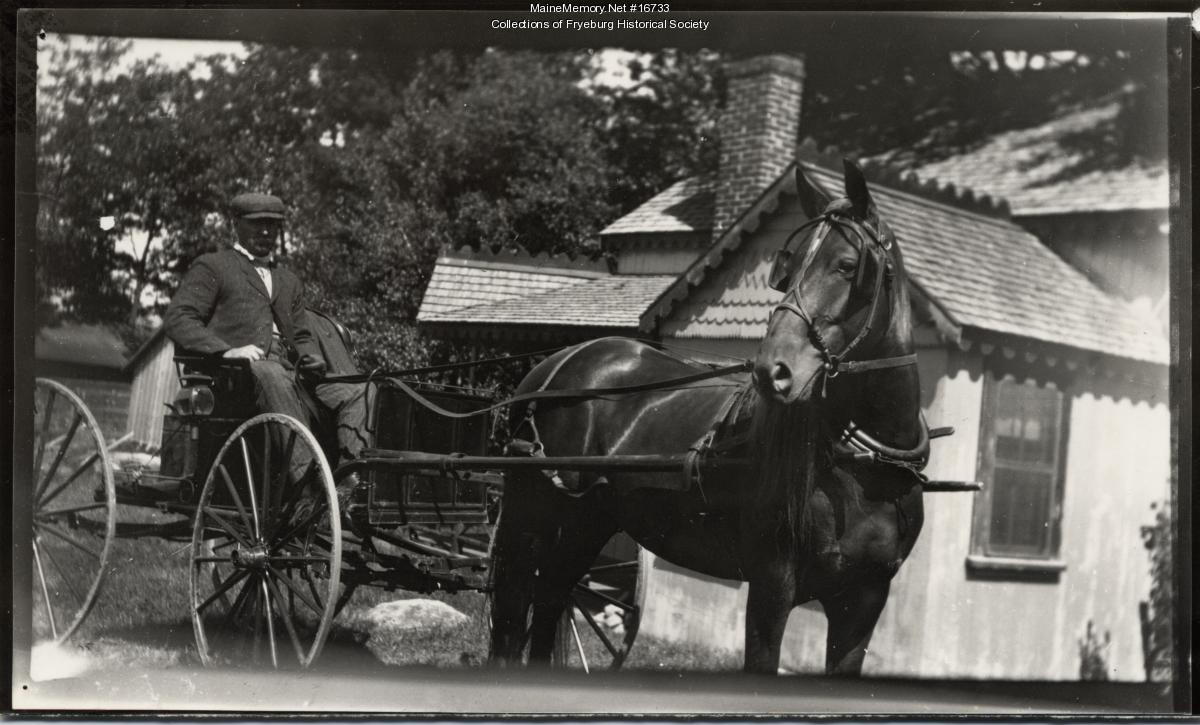Loren J. Olney, Fryeburg, ca. 1900 - Maine Memory Network