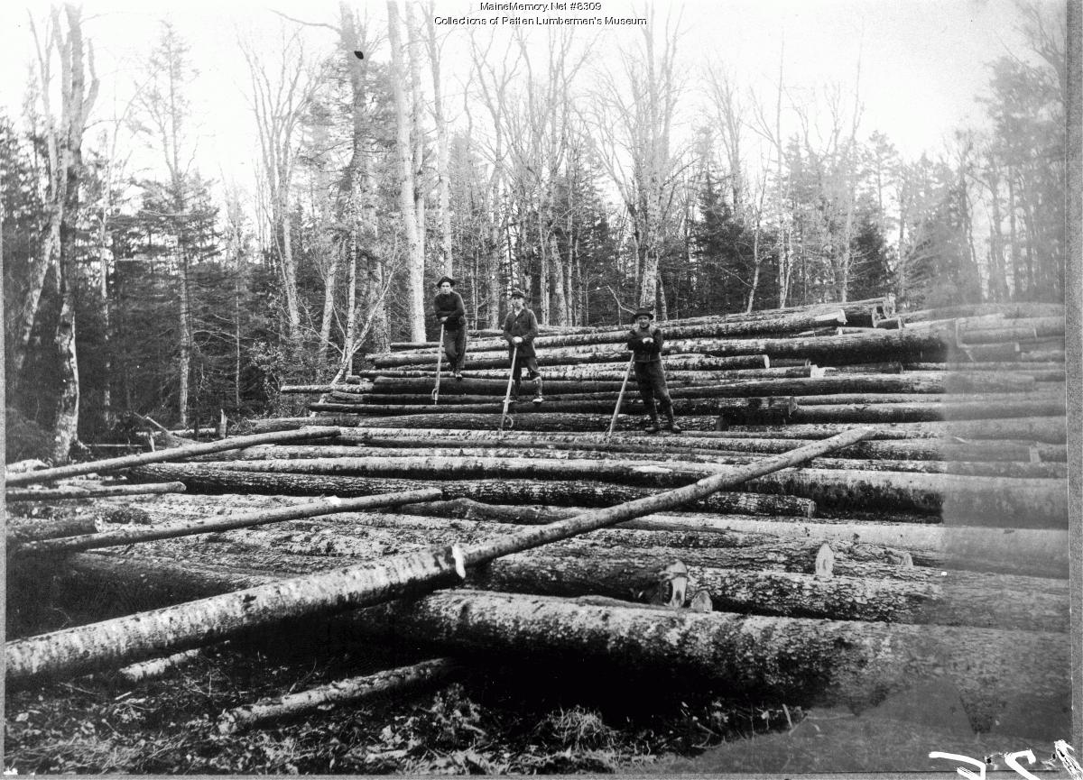 Logging in the Maine woods, ca. 1900 - Maine Memory Network