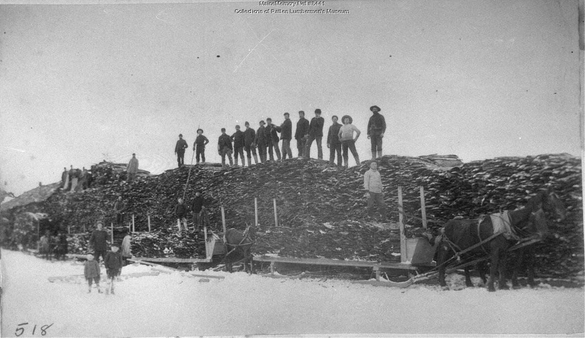 Old Hemlock Bark Days on the BAR, 1890-1895 - Maine Memory Network